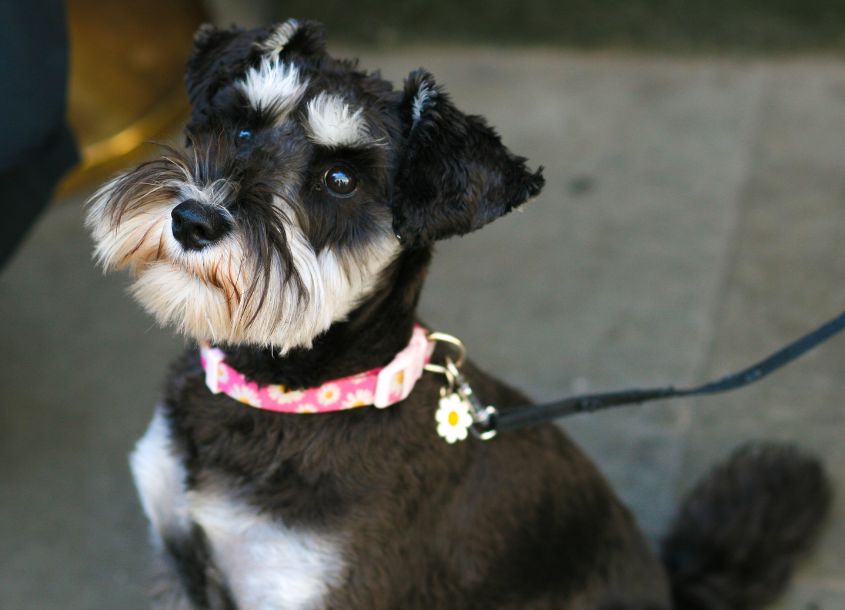 Consulting and Talent Solutions - X4 Group